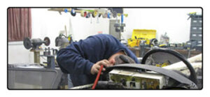 About the Big Banana Car - BigBananaCar